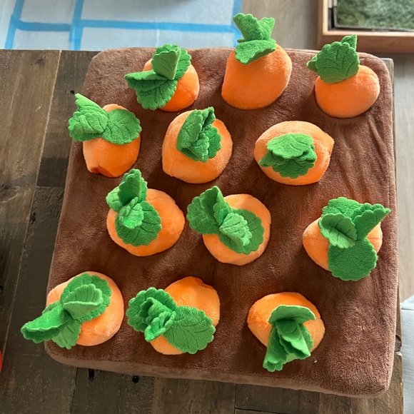 Cat | Carrot Interactive Cat Toys For Indoor Cats Cat Puzzle Toys ...